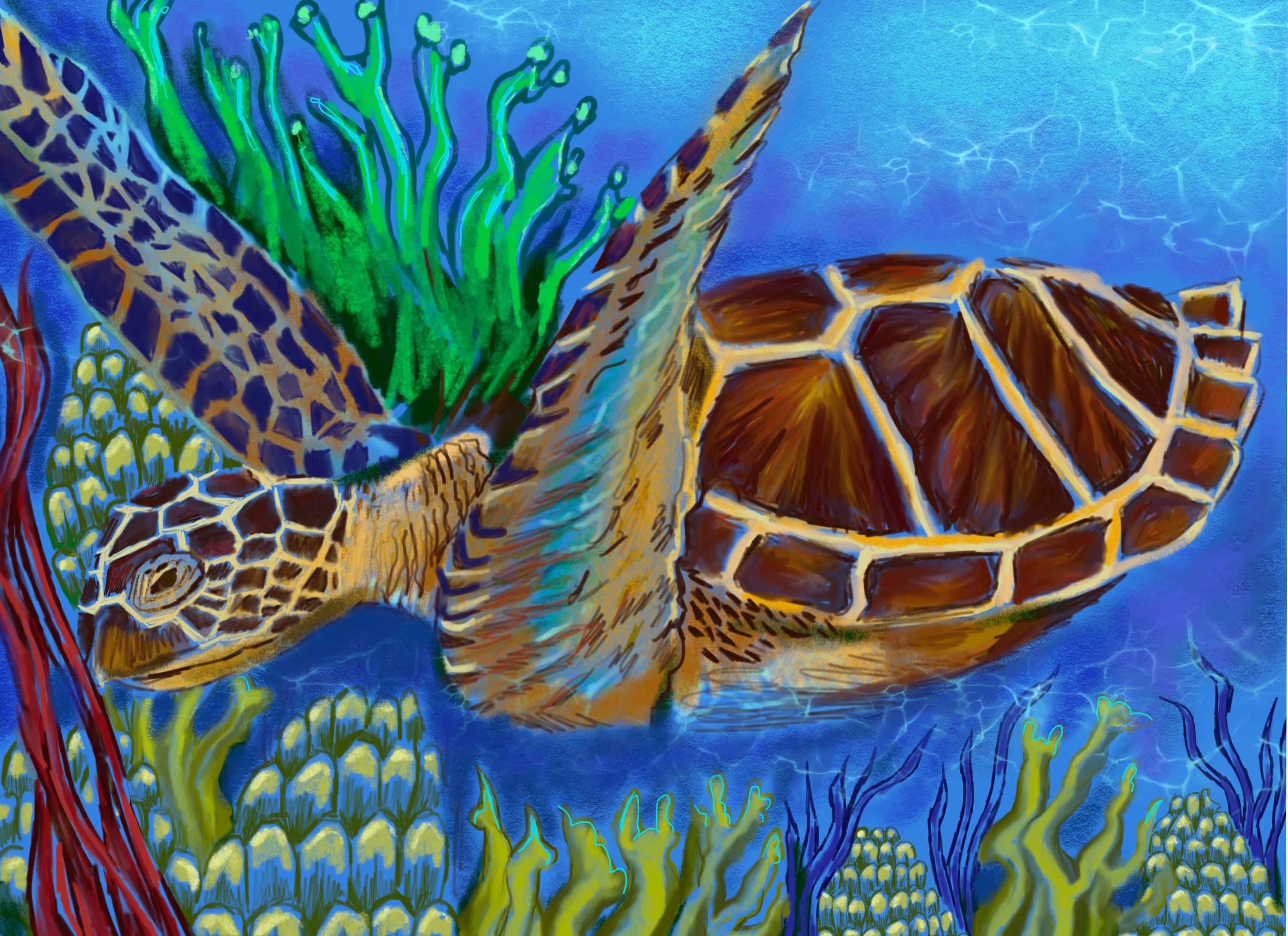 Sea Turtle Print Hawaiian Honu Inspired Art Hawaii Turtle Print Sea ...
