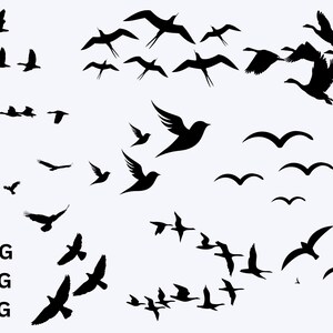 Flock of Birds Svg, Flying Birds Svg Bundle, Birds Silhouette, Birds ...