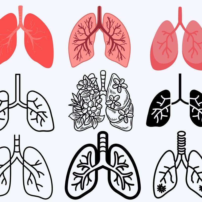 Lung Svg - Etsy