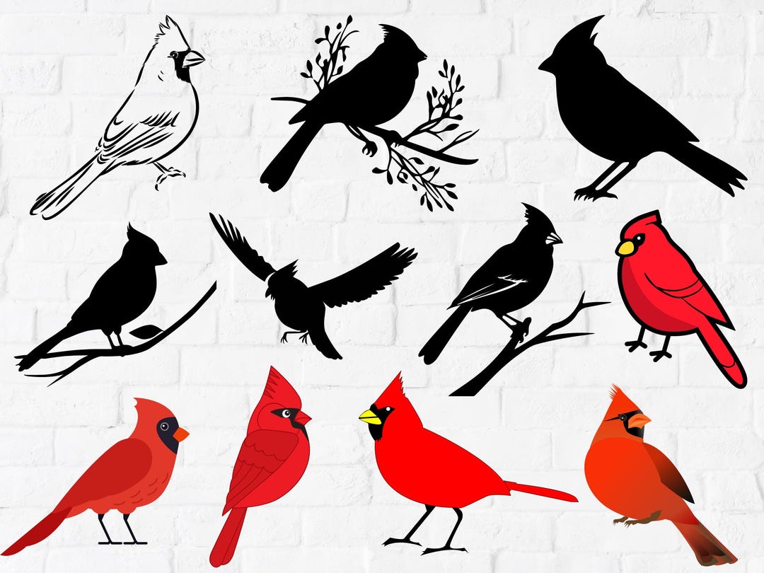 Cardinal Bird SVG, Northern Red Bird Svg, Red Cardinal, Cardial Clipart ...