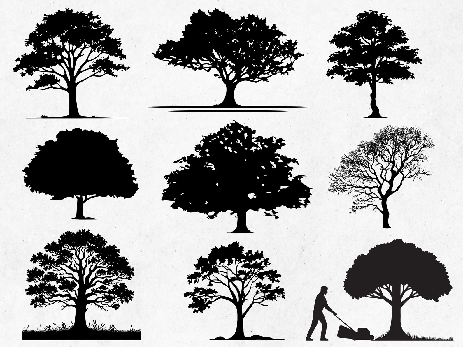 Oak Tree SVG Bundle , Tree Svg, Big Tree Svg, Oak SVG, Outdoor SVG ...
