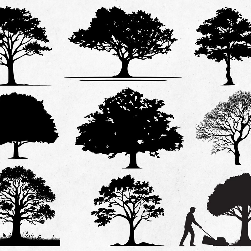 Tree Svg - Etsy
