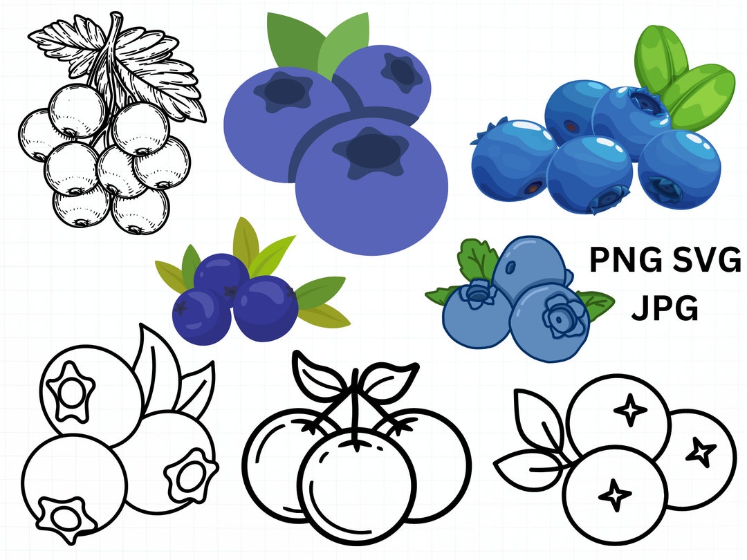 Blueberry Svg Bundle, Fruit Svg, Blueberry Clipart, Blueberry Png,berry ...