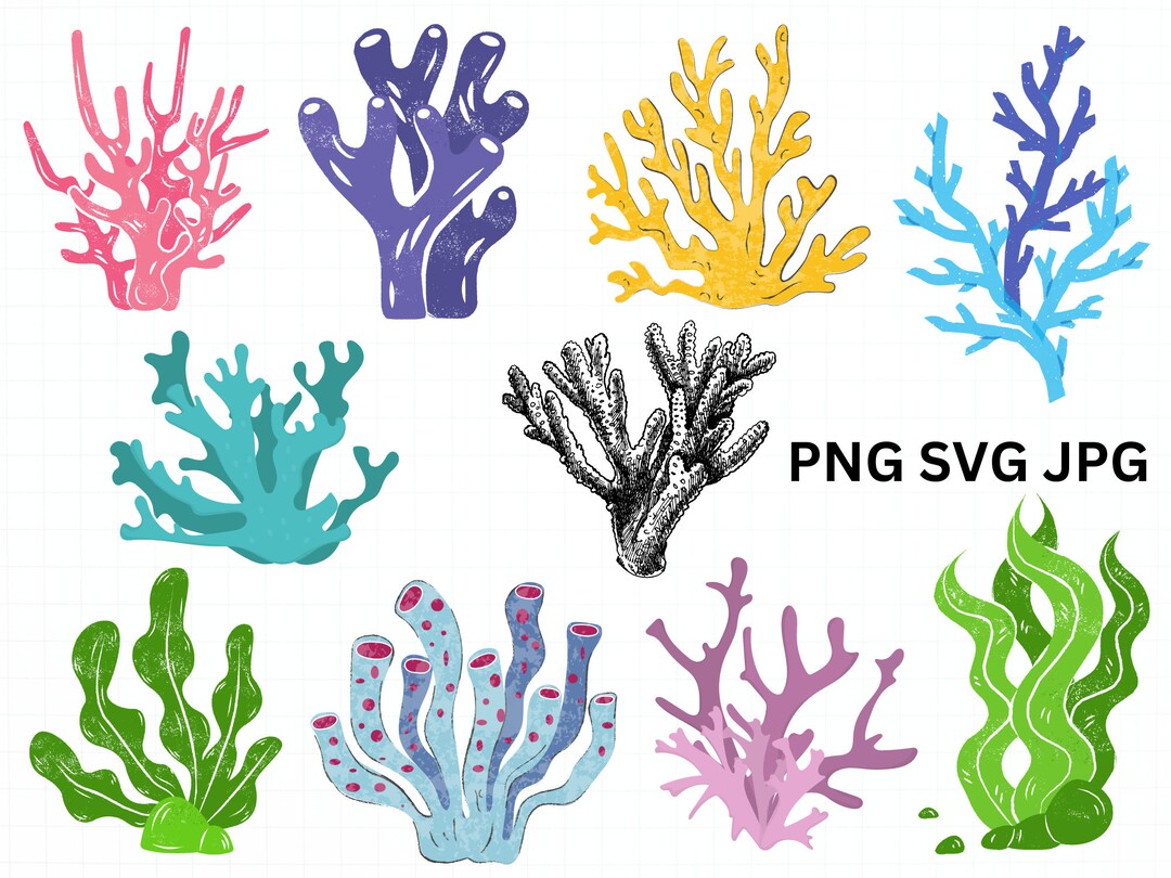 Coral SVG Bundle, Coral Clipart, Coral Silhouette, Seaweed Svg, Coral ...