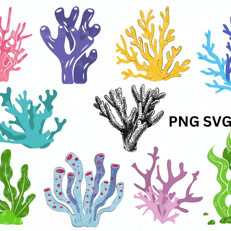 Sea Fan Coral - Etsy