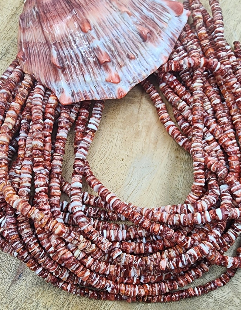 6mm 8mm AAA Natural Stone Dark Orange Spiny Oyster Shell Gemstone ...