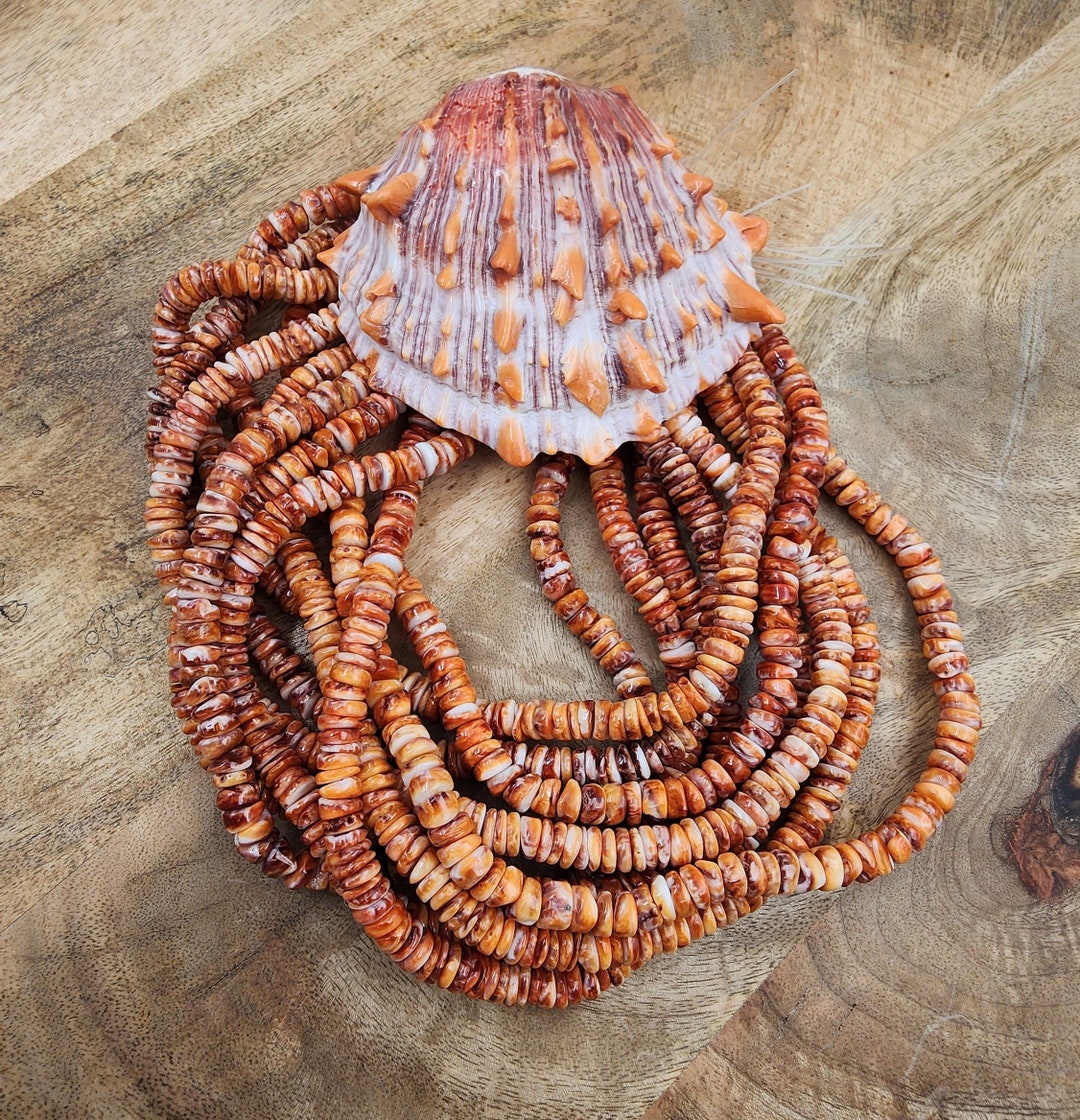 8mm AAA Natural Stone Orange Spiny Oyster Shell Gemstone Rondelle Shape ...