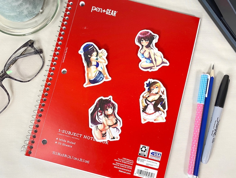 Assorted Full Color Anime Girl Stickers - Anime Babes Waifus NSFW T6 - Etsy