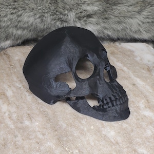 Skull Hide for Small Animals, Reptiles, Snakes, Geckos, Spiders, and ...