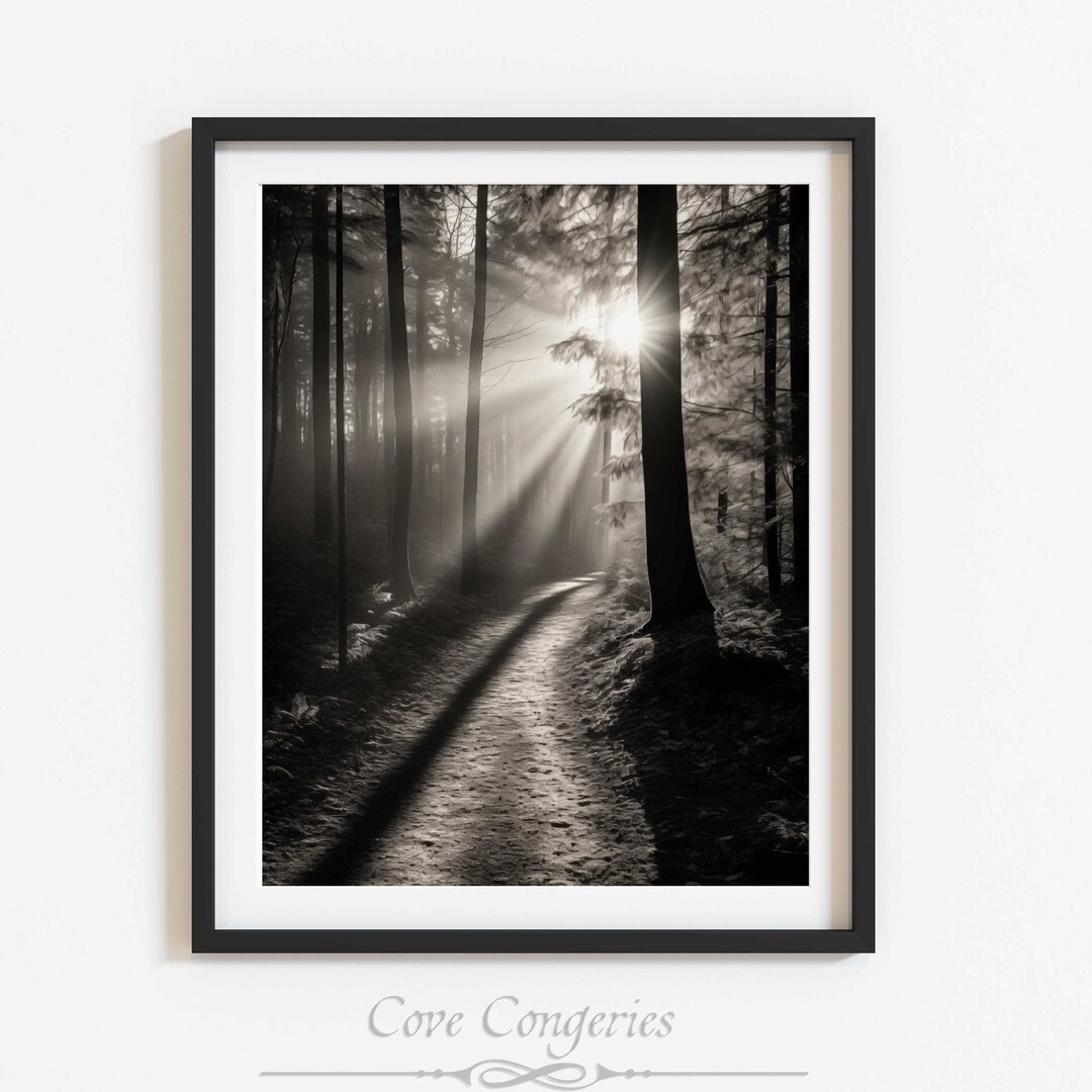 Forest Sunset | Still Life | Moody Downloadable Printable Wall Art | CC ...