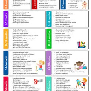 Fine Motor Development Chart 0 72 Months - Etsy