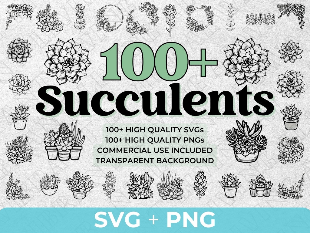 100+ Succulent SVG PNG Designs | Line Drawing Cactus Wildflower SVG ...