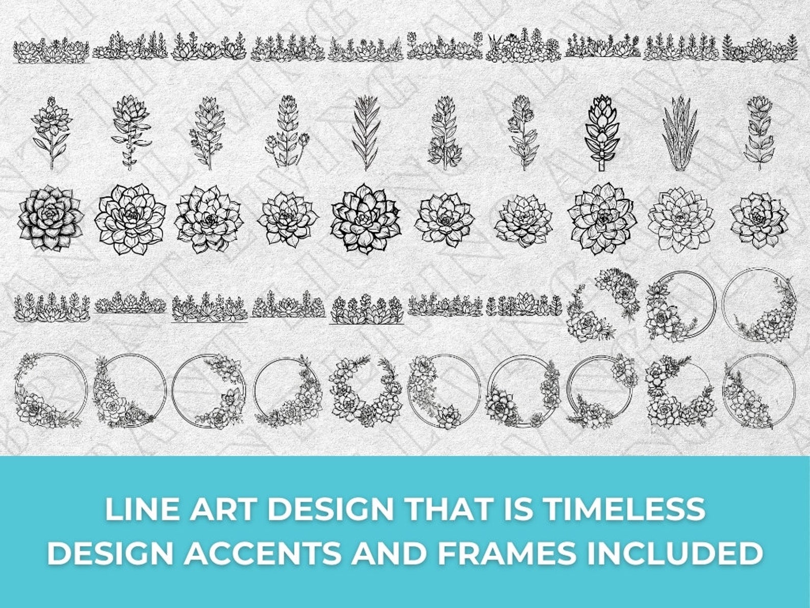 100+ Succulent SVG PNG Designs | Line Drawing Cactus Wildflower SVG ...