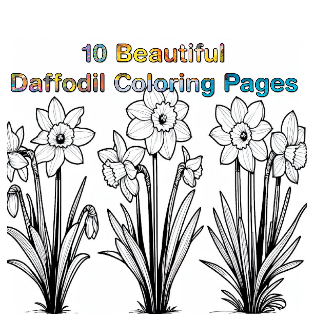 10 Daffodil Coloring Pages, Herald the Spring With Cosmic Pop's ...