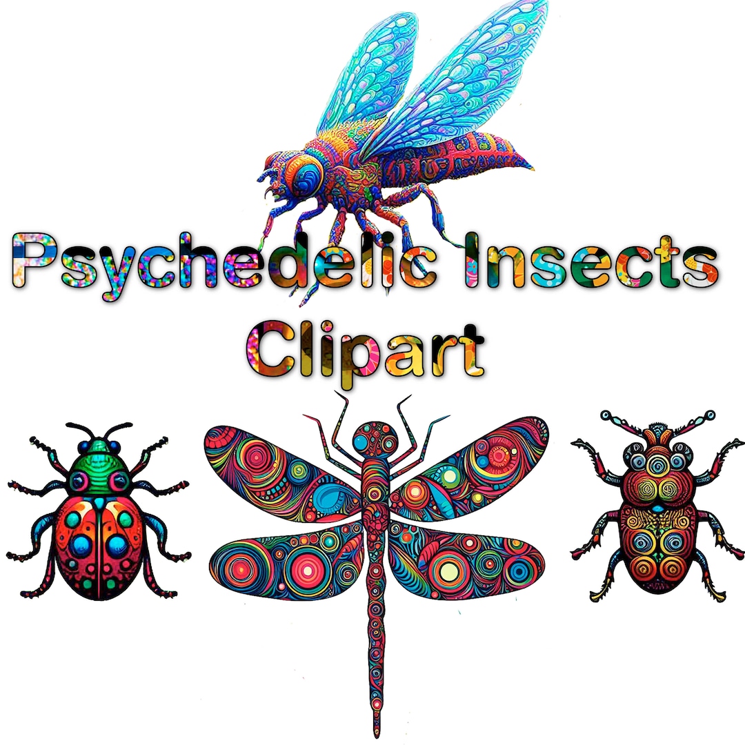 Psychedelic Dragonflies, Colorful Insects, Trippy Bugs Clipart - Etsy