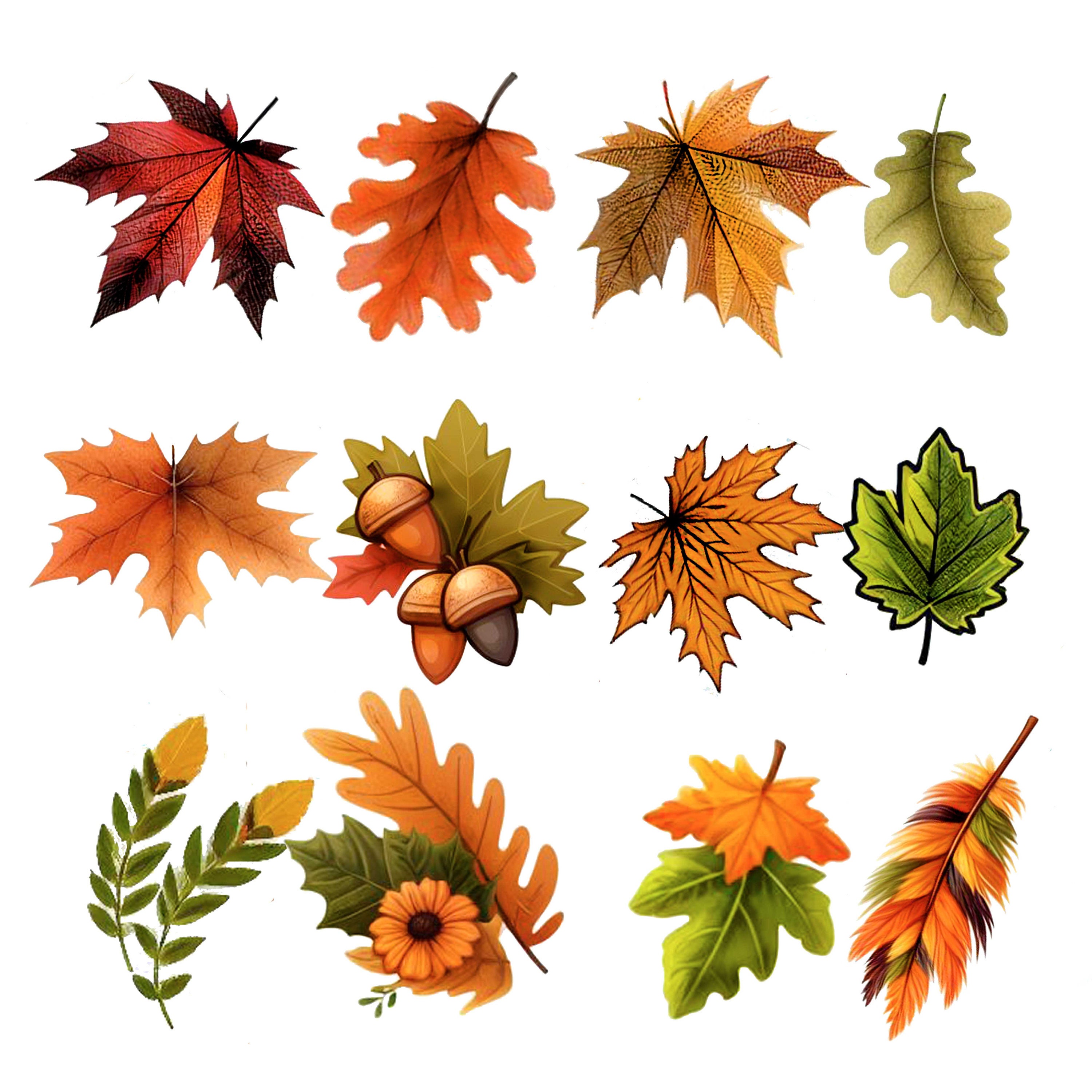 Thanksgiving Clipart, Greetings, Turkey Day, Fall Colors, Autumn Leaves ...