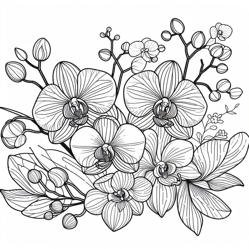 Unleash Your Inner Zen: Orchid Coloring Pages, 10 Orchid Coloring Pages ...