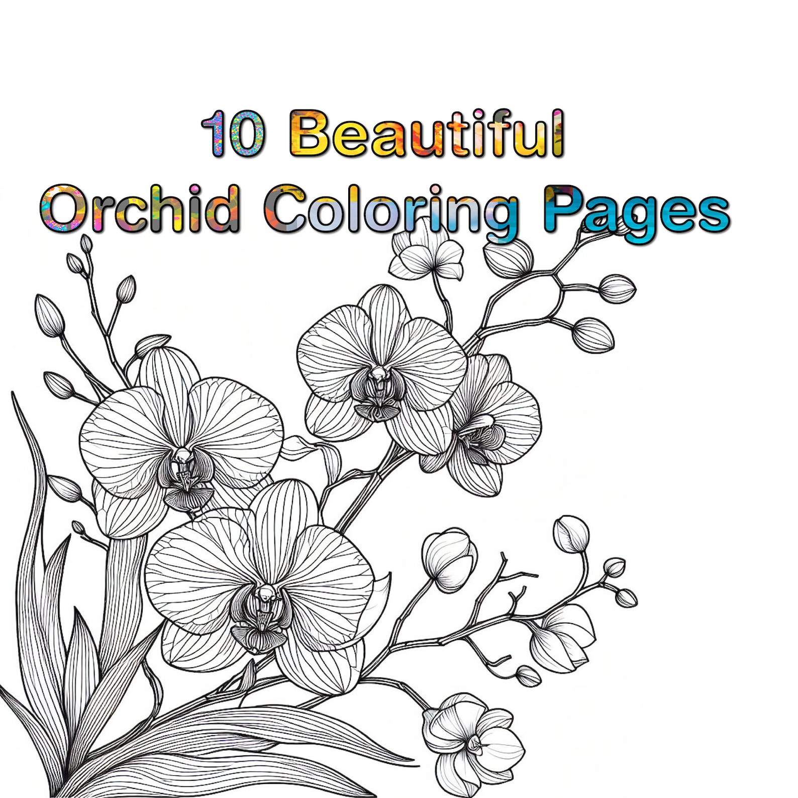 Unleash Your Inner Zen: Orchid Coloring Pages, 10 Orchid Coloring Pages ...