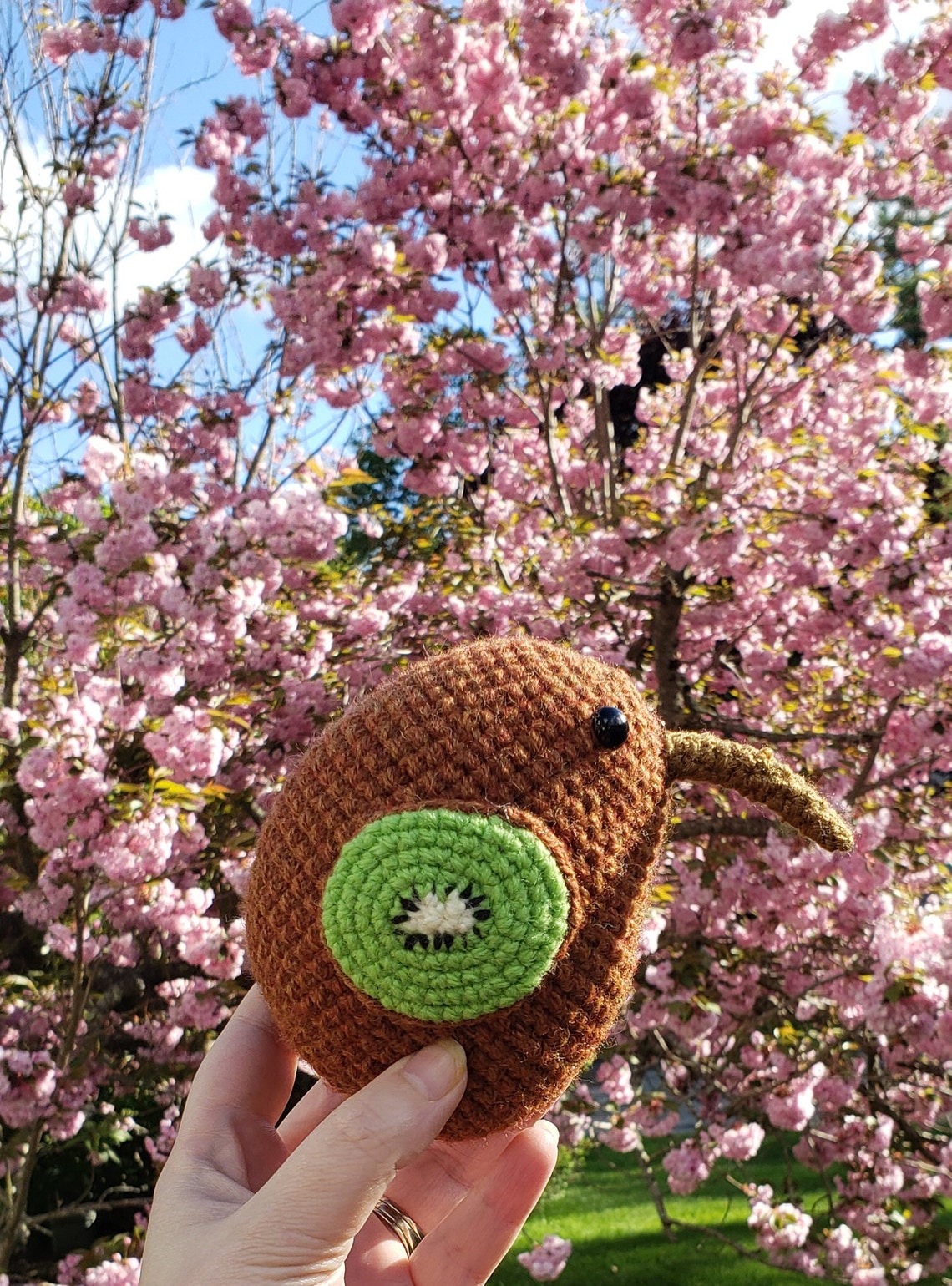 Kiwi-kiwi Crochet Pattern - Etsy
