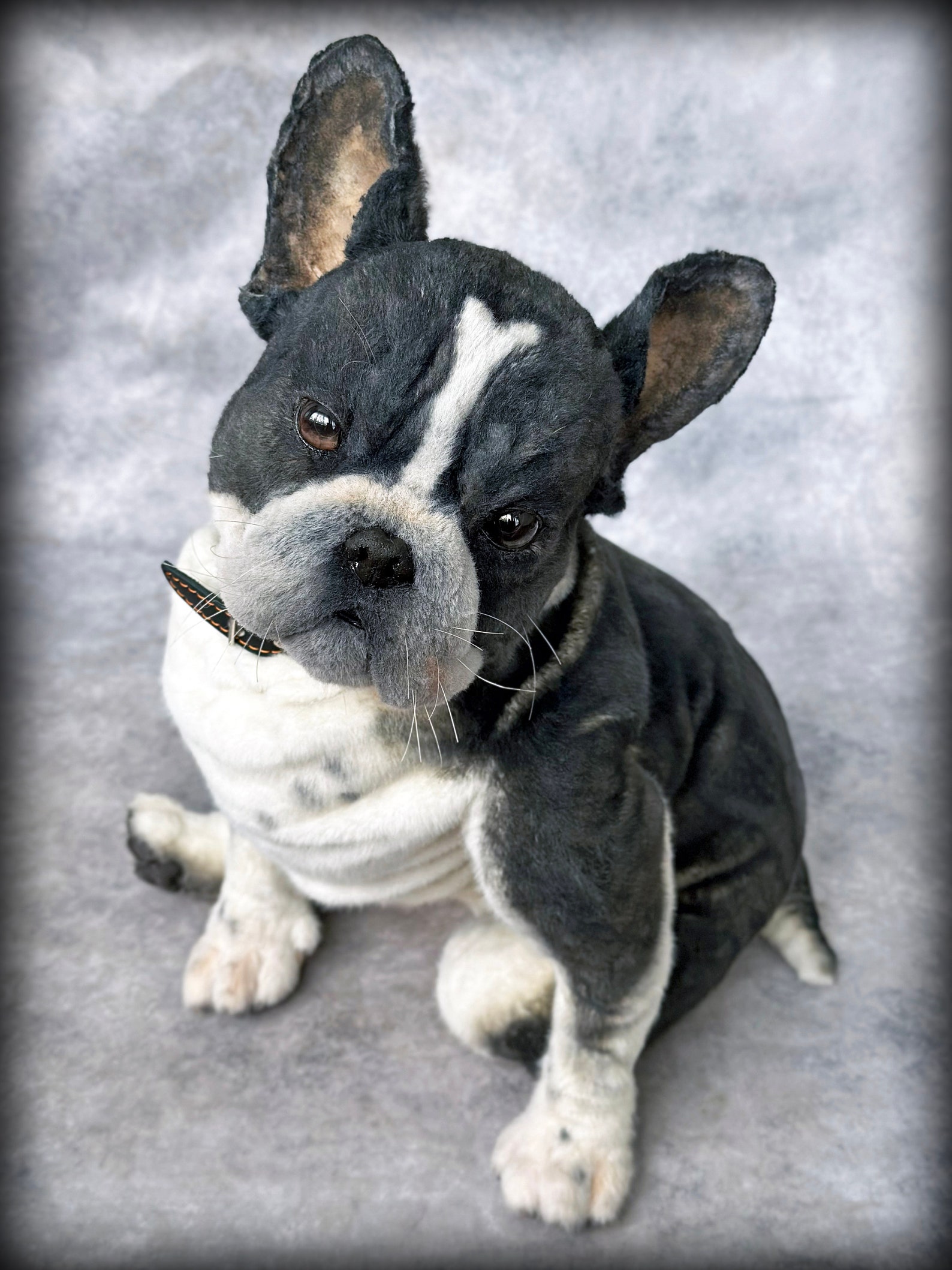 French Bully, Plush Dog, Realistic Animals, Pet Replica, Pet Portrait ...