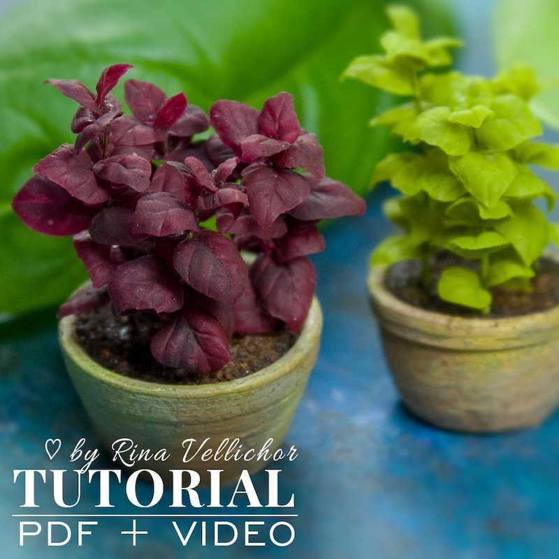 Mini Basil Art - Etsy UK