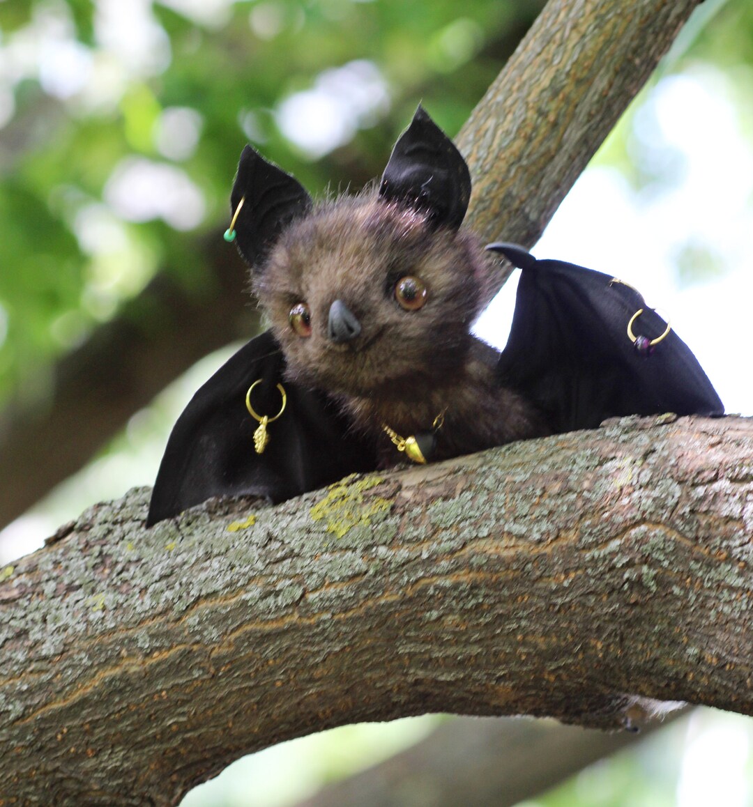 Bat Cecchi Fur Bat Black Bat Furry Doll Soft Doll Fur Doll Soft Toy ...