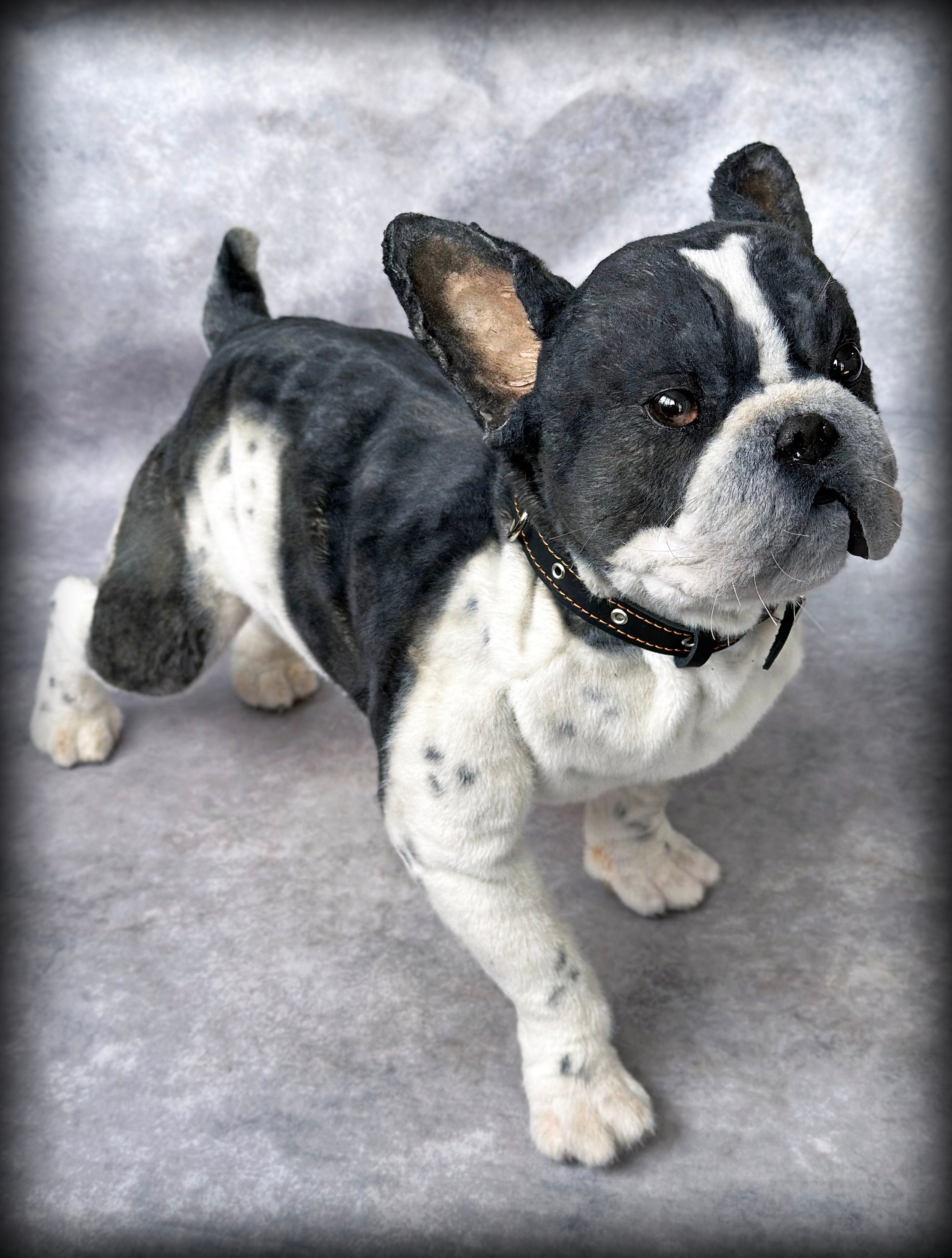 French Bully, Plush Dog, Realistic Animals, Pet Replica, Pet Portrait ...