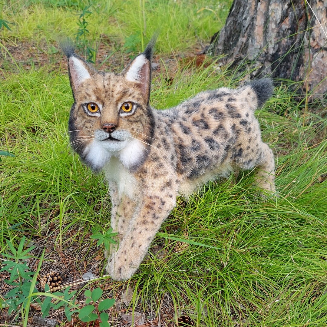 Lynx Realistic Plush Toy . Wild Cat . OOAK . Art Doll Animal . Stuffed ...
