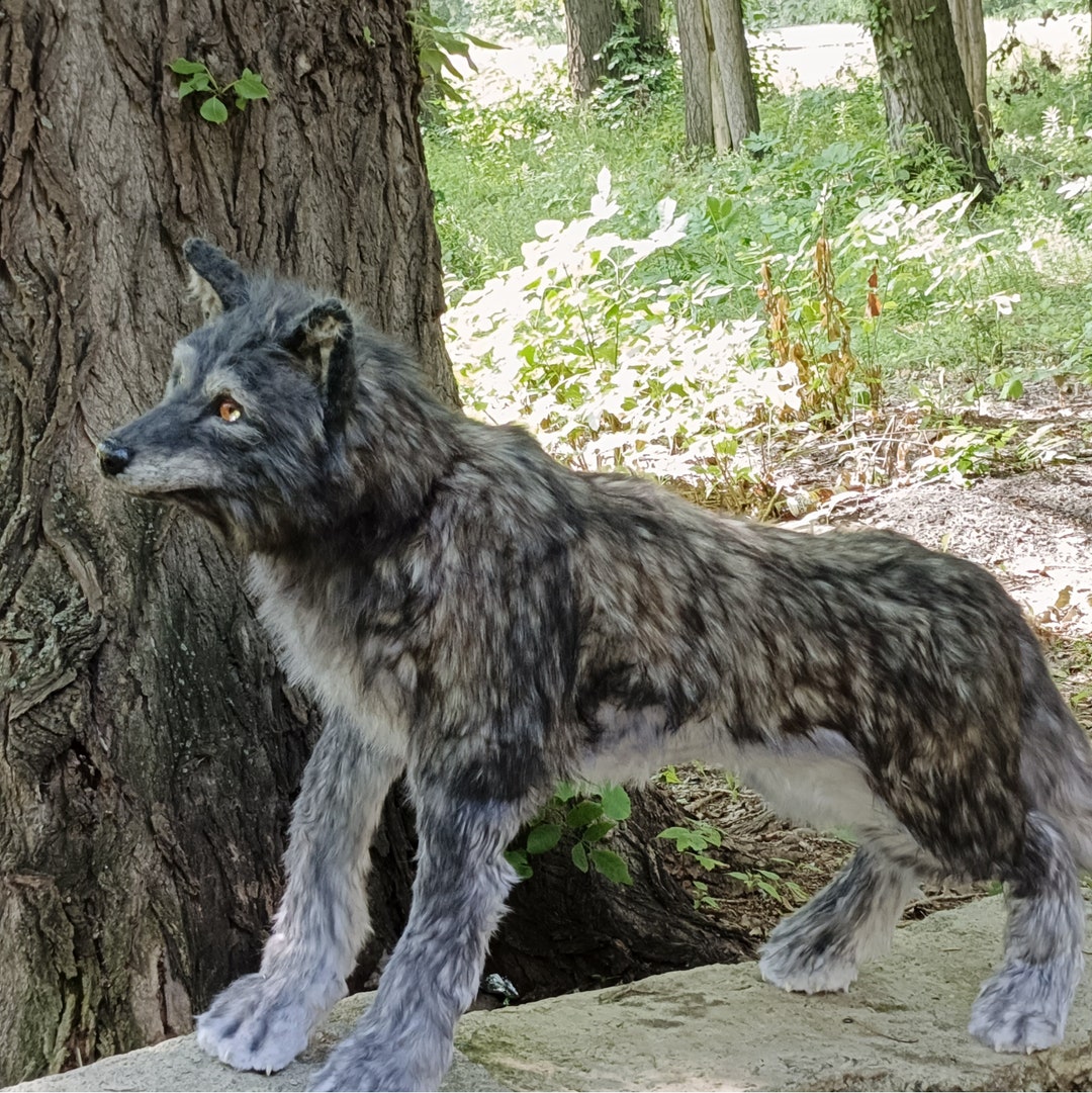 Realistic Toy in the Form of a Wolf, Life-size. Handmade Toy in the ...