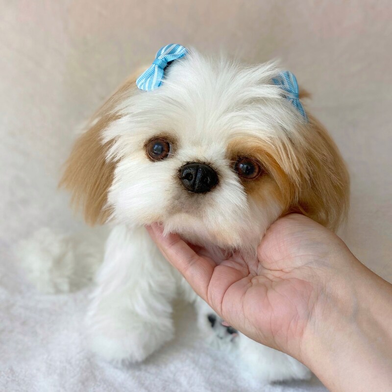 Realistic Stuffed Dogs - Etsy