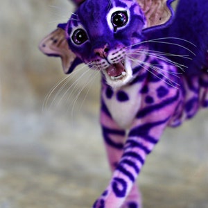 CUSTOM Realistic Cat Replica Articulated Cat Plushie Personalize Cat ...