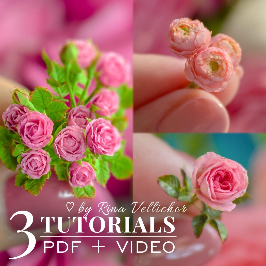3 TUTORIALS Miniature Austin Rose, Miniature Tea Rose, Miniature ...