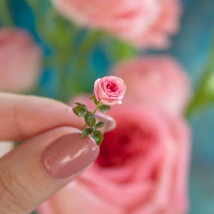 3 TUTORIALS Miniature Austin Rose, Miniature Tea Rose, Miniature ...