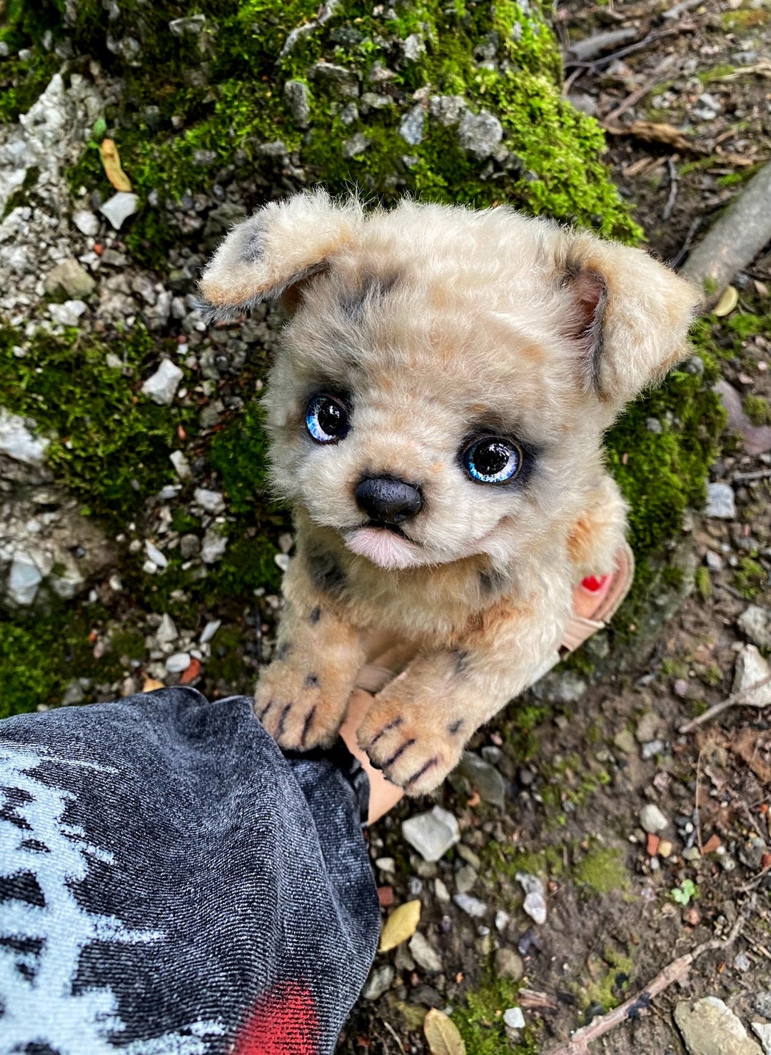 Puppy Tom Caring Home Cute Plush Toy Furr, Soft Animal Toy Stuffed ...