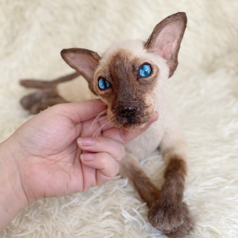 Siamese Cat Plush - Etsy