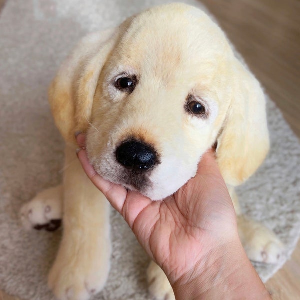 Realistic Stuffed Dogs - Etsy