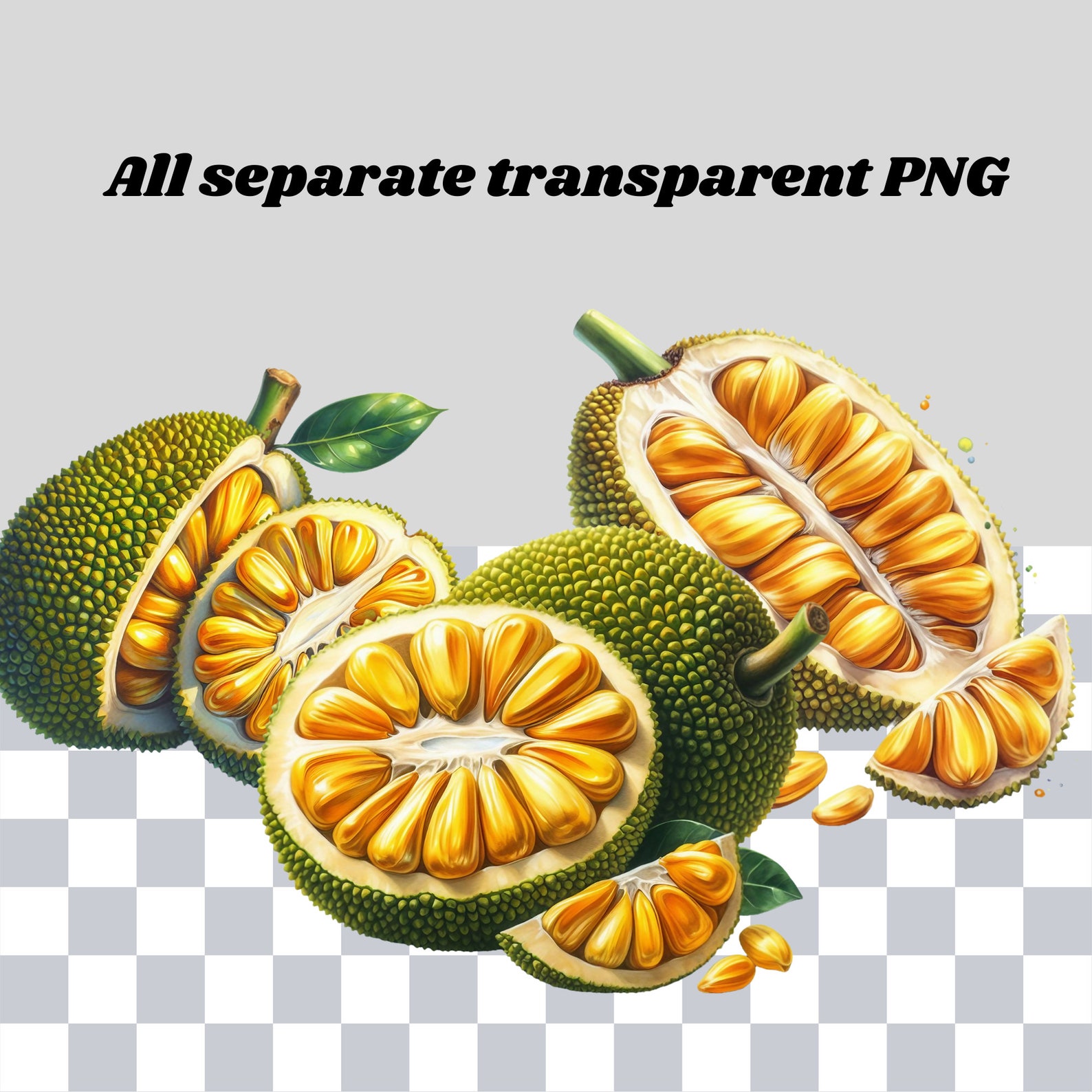Jackfruit PNG - 21 Jackfruit Clipart - PNG Files, Transparent ...