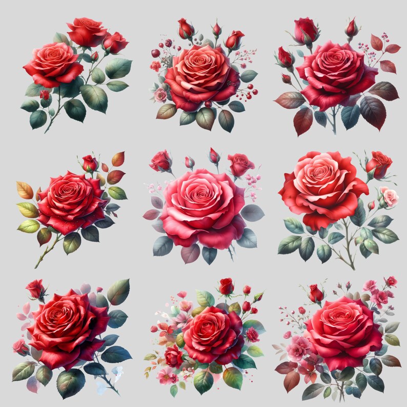 Red Rose PNG 21 Red Rose Clipart PNG Files, Transparent Background, 300 ...