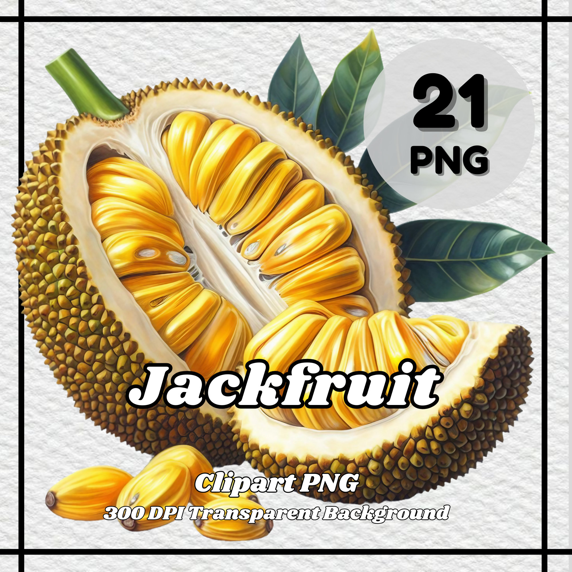 Jackfruit PNG - 21 Jackfruit Clipart - PNG Files, Transparent Background, 300 DPI, Ideal for ...