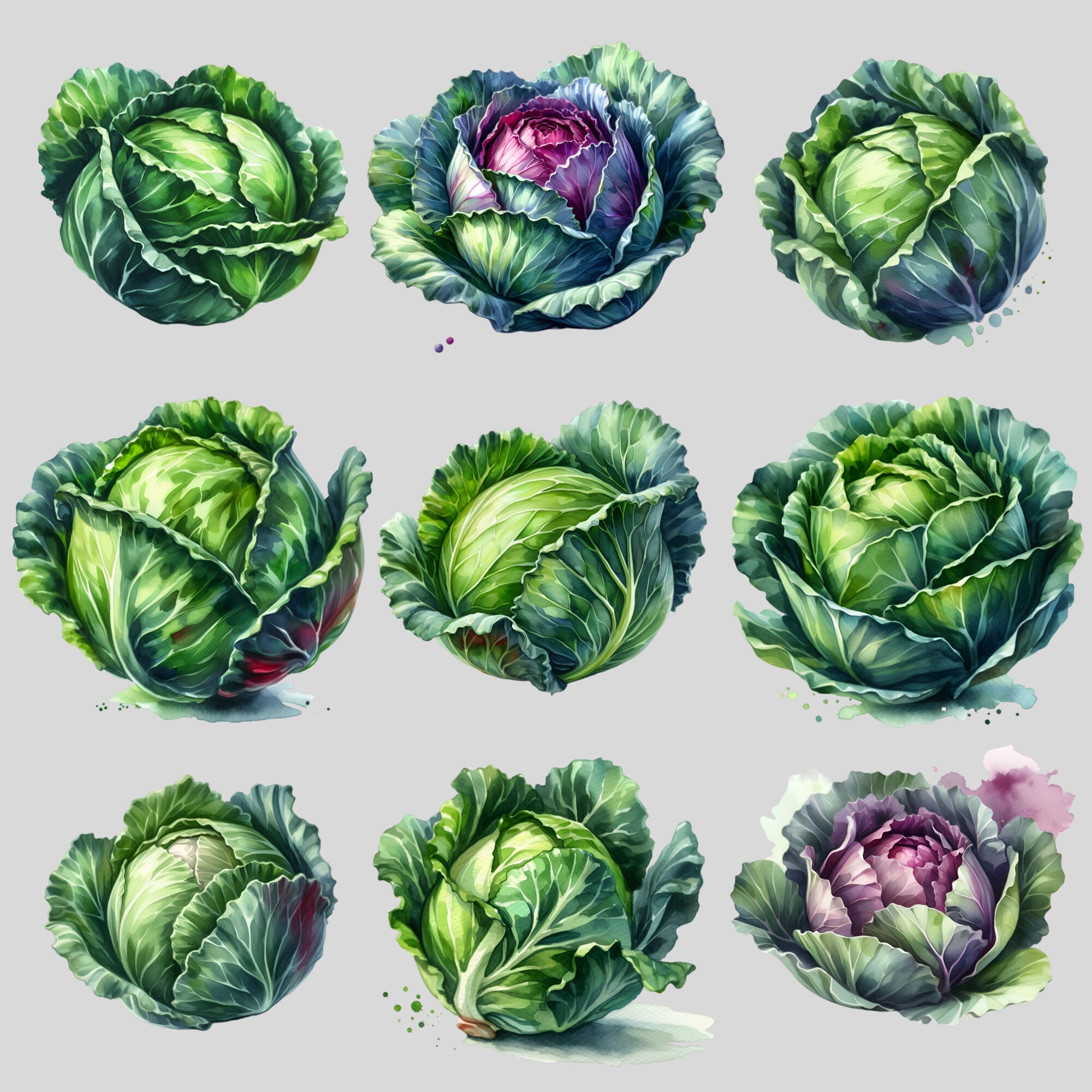 Cabbage PNG - 21 Cabbage Clipart - PNG Files, Transparent Background ...
