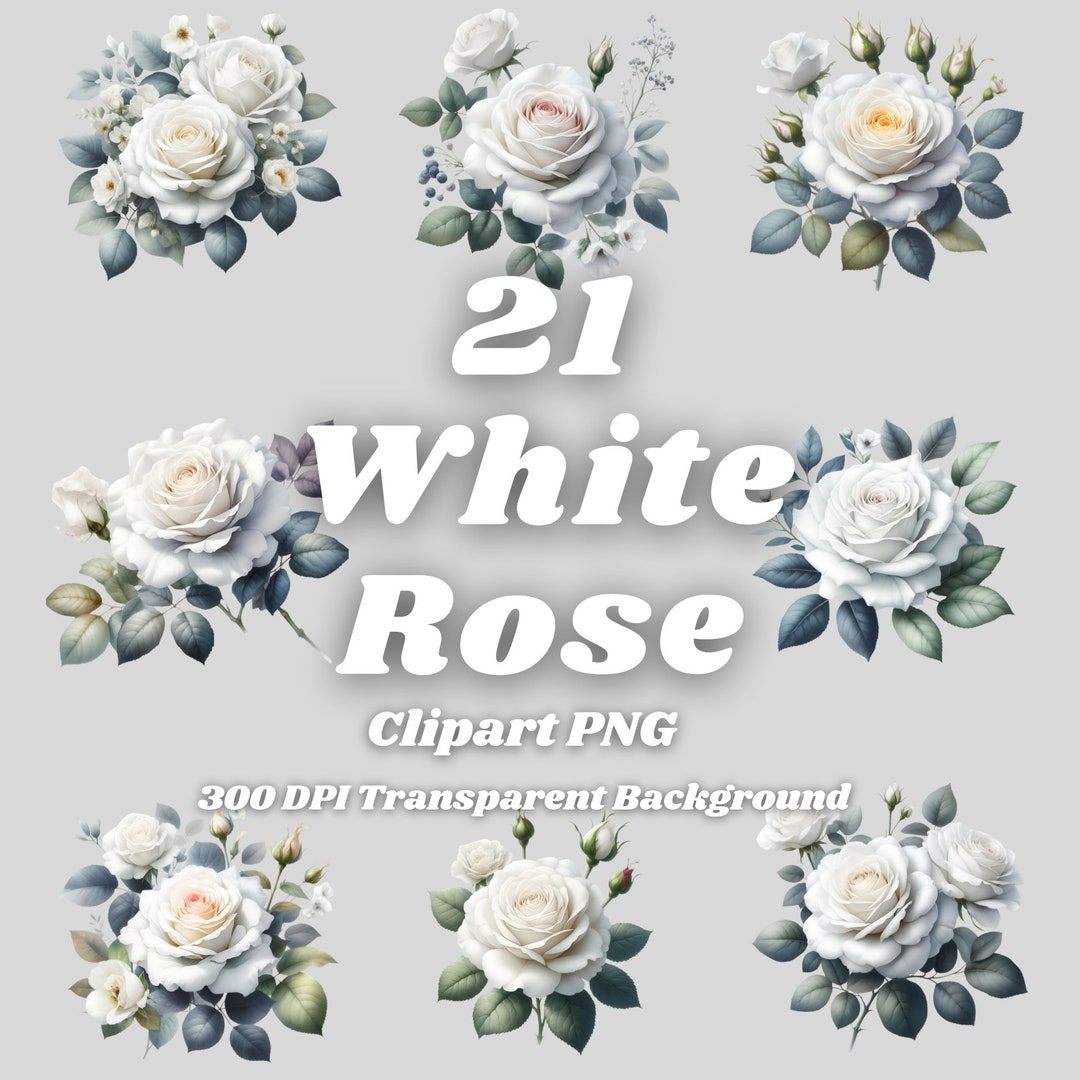 White Rose PNG - 21 White Rose Clipart - PNG Files, Transparent ...