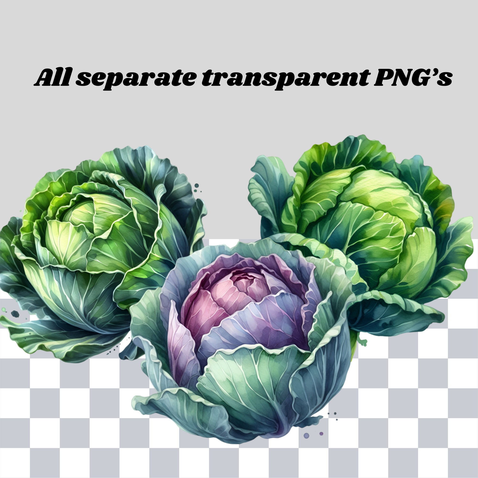 Cabbage PNG 21 Cabbage Clipart PNG Files, Transparent Background, 300 ...