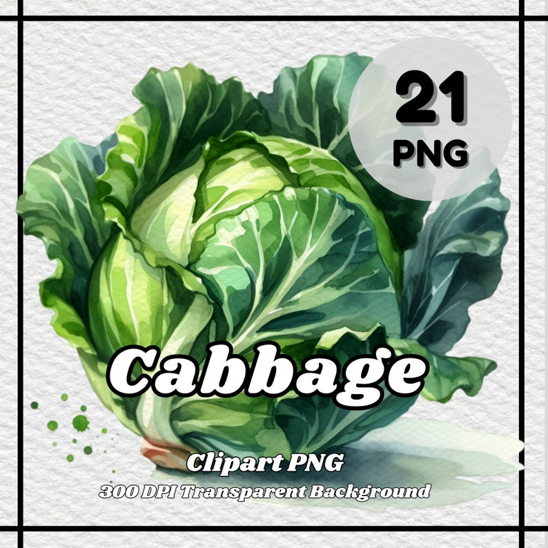 Cabbage PNG - 21 Cabbage Clipart - PNG Files, Transparent Background ...