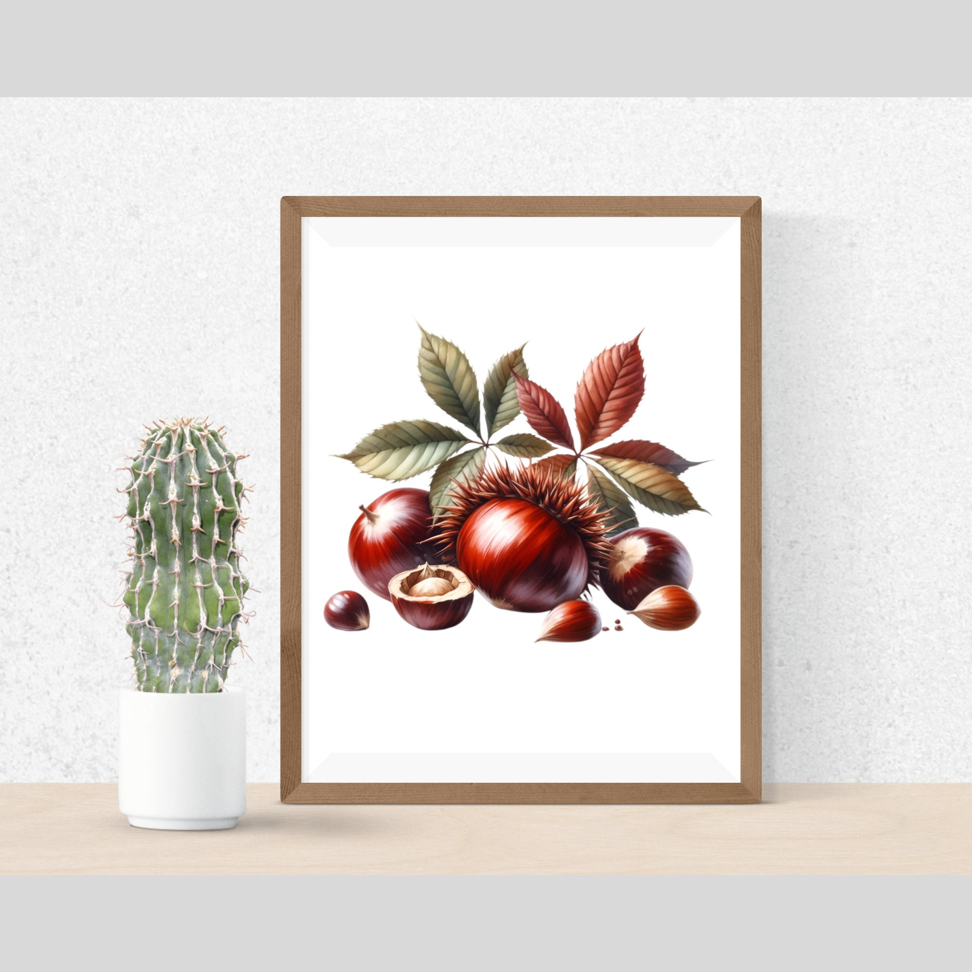 Chestnut PNG 21 Chestnut Clipart PNG Files, Transparent Background, 300 ...