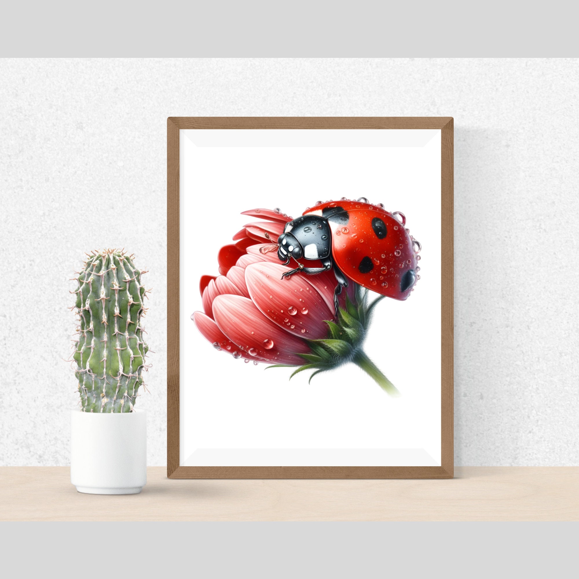 Ladybug PNG 21 Ladybug Clipart PNG Files, Transparent Background, 300 ...