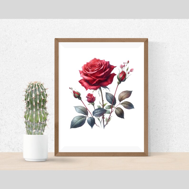 Red Rose PNG 21 Red Rose Clipart PNG Files, Transparent Background, 300 ...