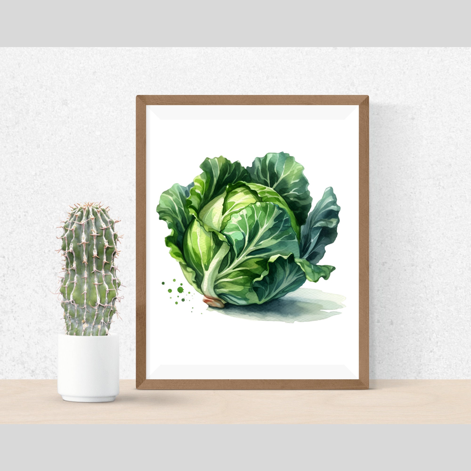 Cabbage PNG 21 Cabbage Clipart PNG Files, Transparent Background, 300 ...