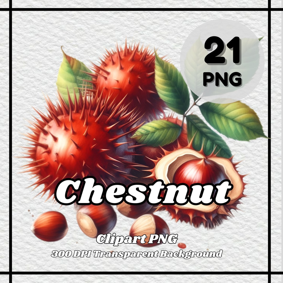 Chestnut PNG - 21 Chestnut Clipart - PNG Files, Transparent Background ...