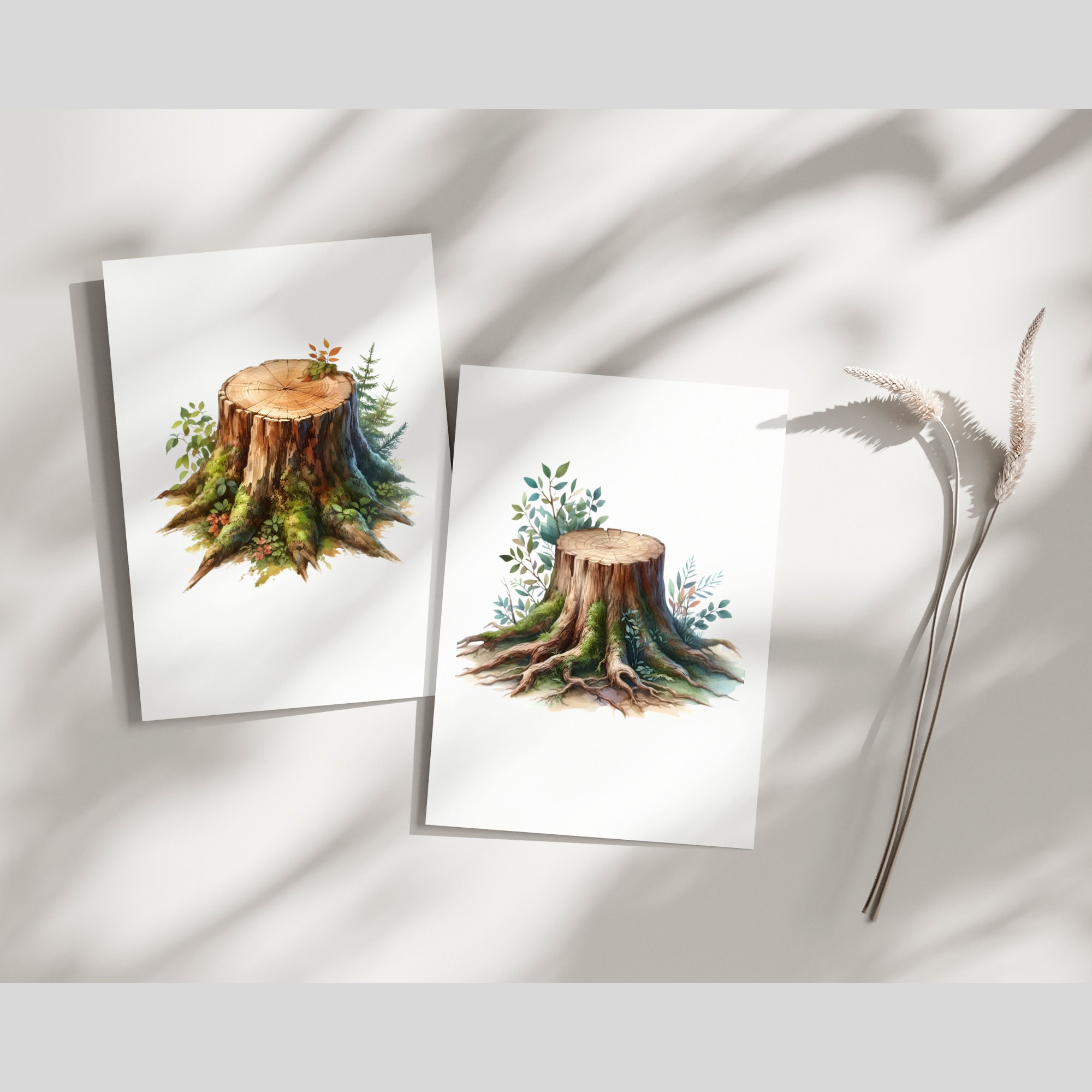 Tree Stump PNG - 21 Tree Stump Clipart - PNG Files, Transparent ...