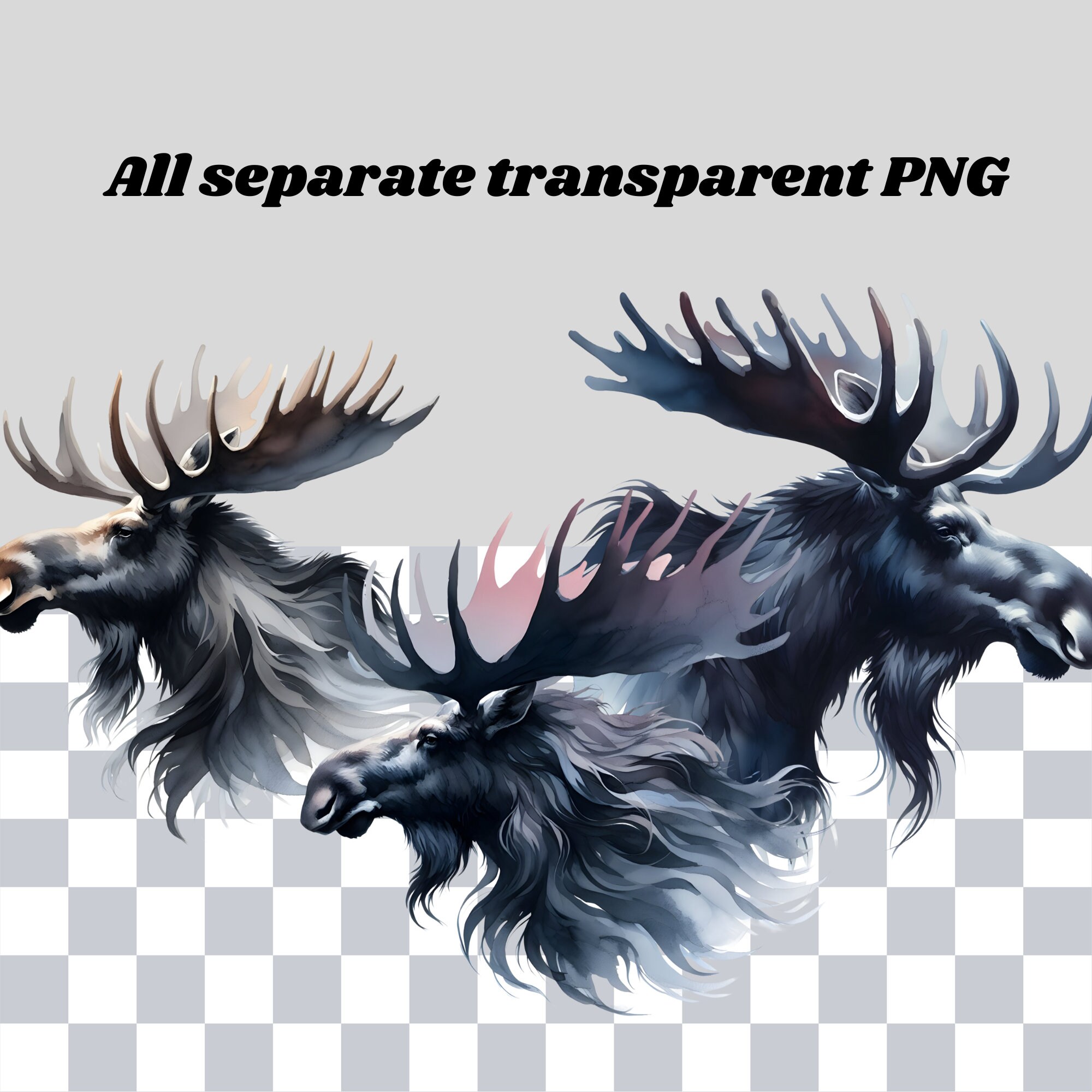 Moose Clipart – 21 PNG Images, Transparent Background (digital Download ...